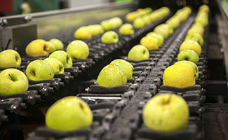 JAI | Industrial cameras for food and beverage inspection